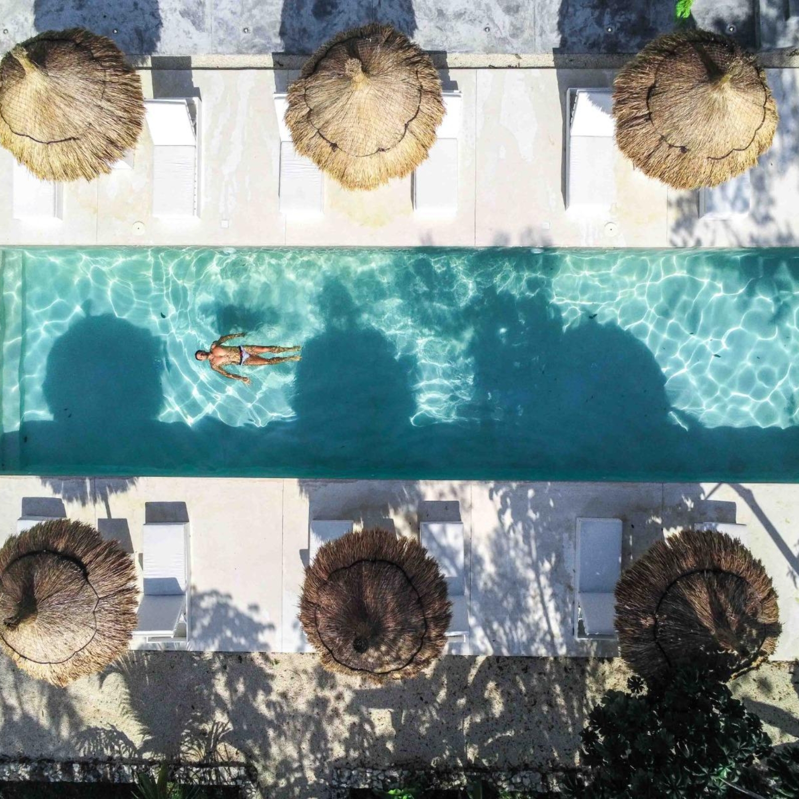 Tulum Mayan Shamanic Retreat 2024 - Zarathustra